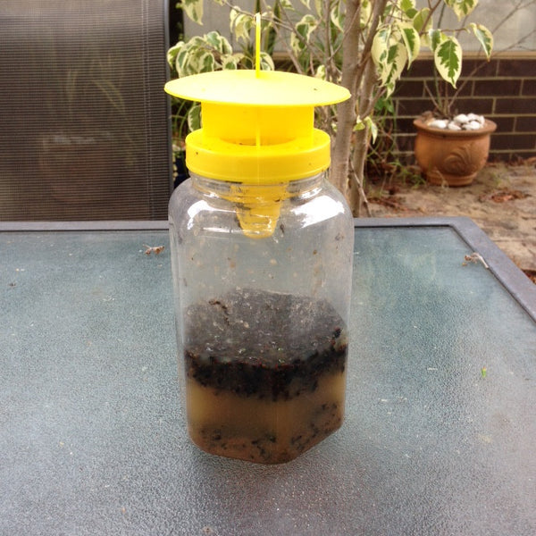 Fly Trap - The Venus Outdoor Trap With 48 Refills